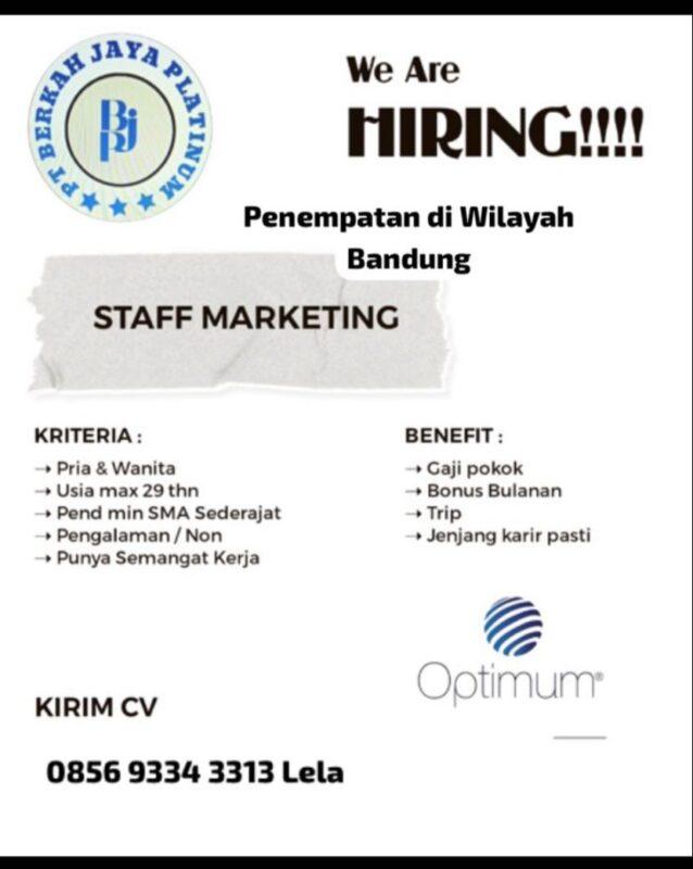 Lowongan Kerja Staff Marketing di PT. Berkah Jaya Platinum - LokerBandung.id